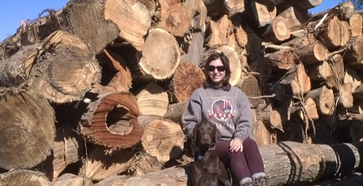 Land In Alabama & Land In Georgia | Timberland Management